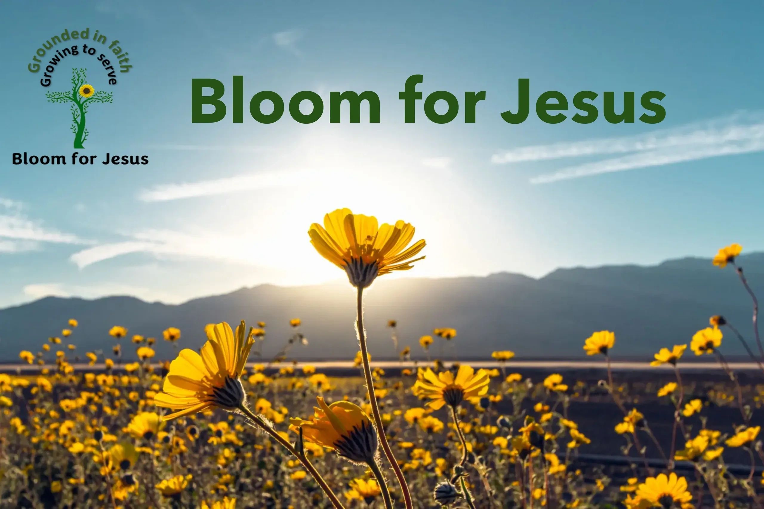 Bloom for Jesus Ministries
