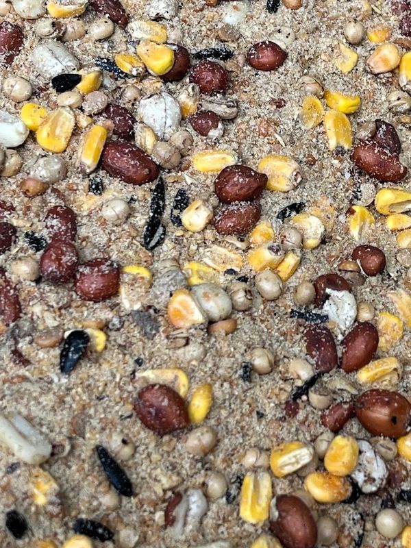 High-Quality Deer Protein for Optimal Nutrition