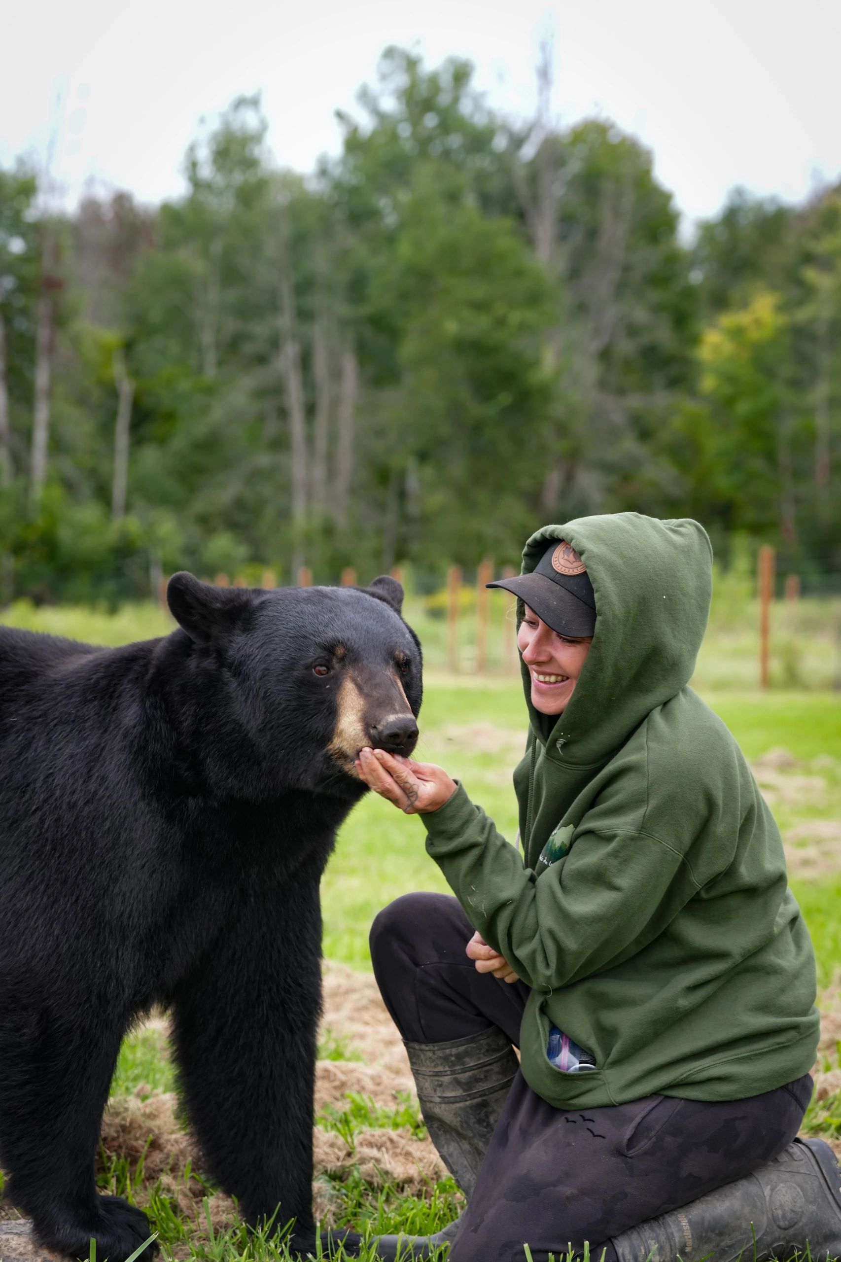 Animal wrangler Canada
