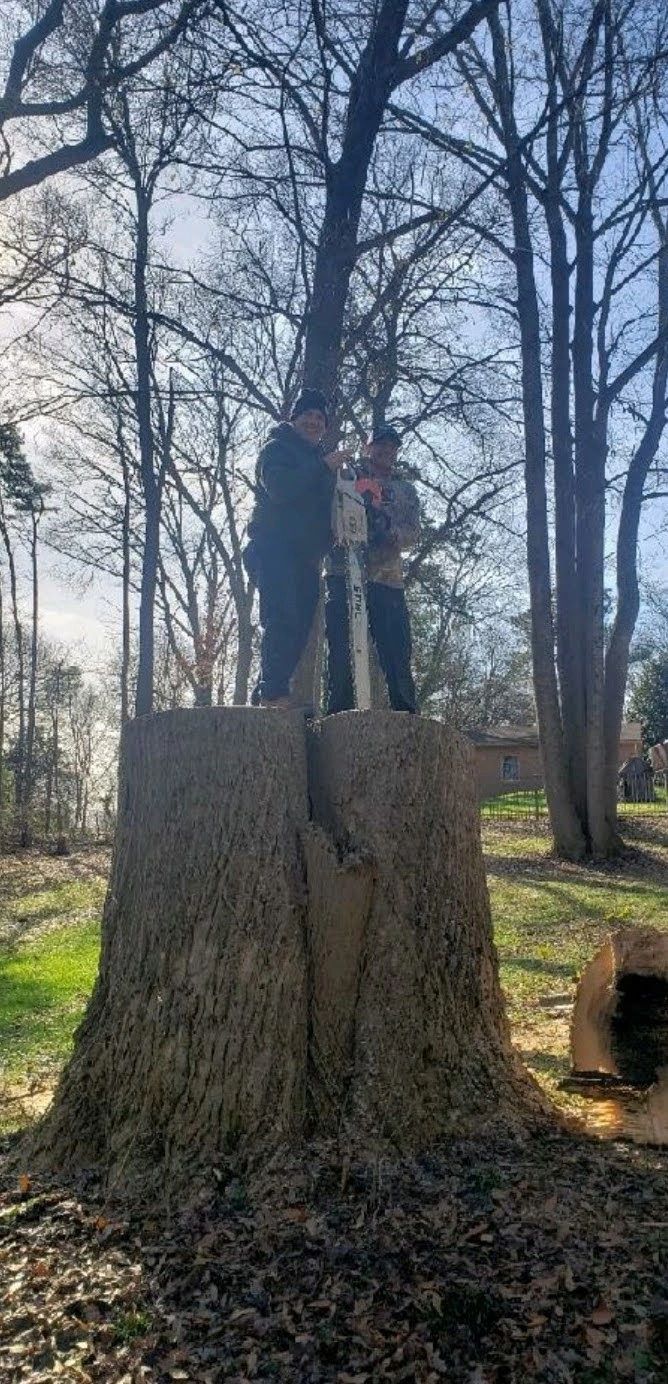 Advanced Tree Services