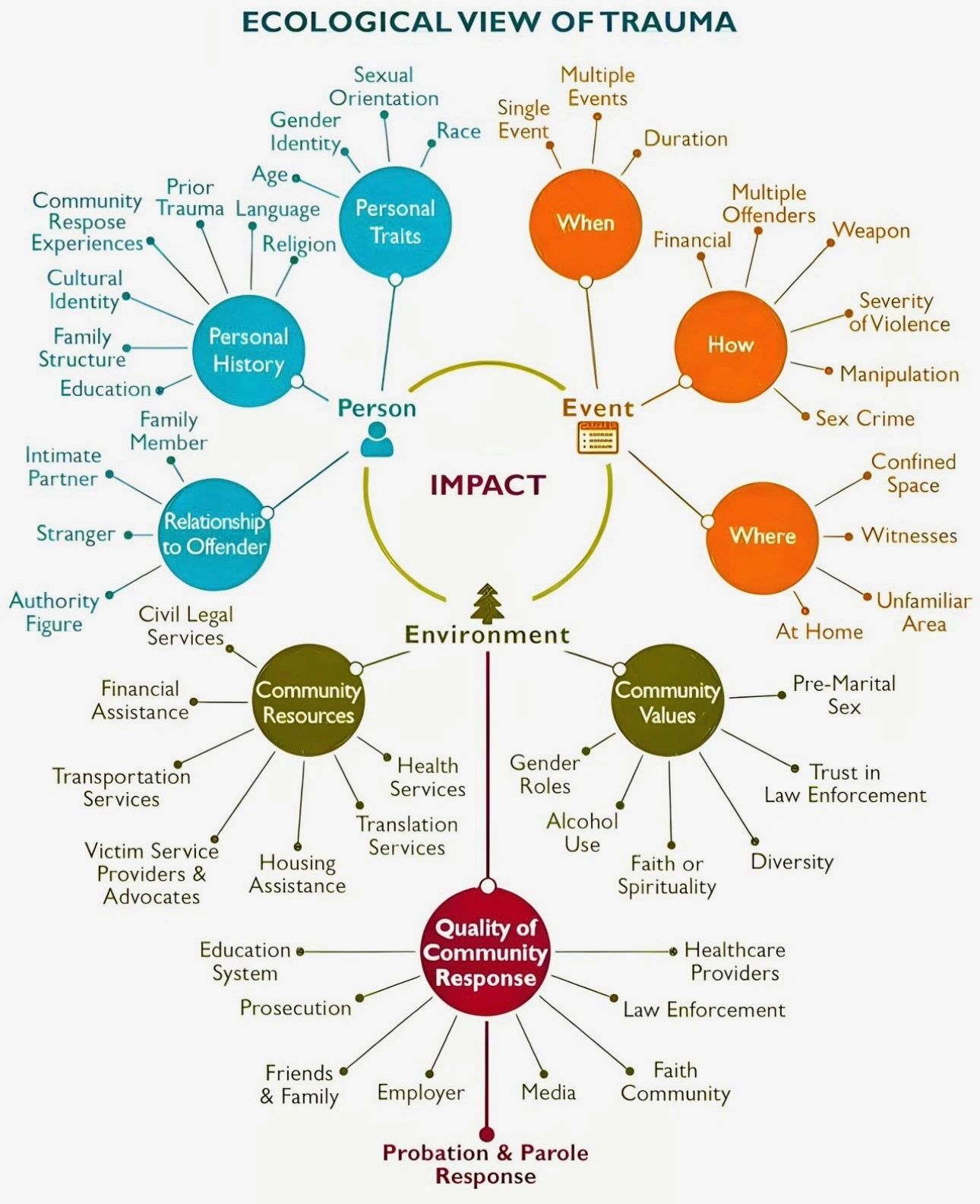 易 Understanding Trauma Through an Ecological Lens