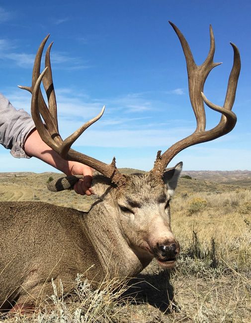 Hunt Options | P Cross Bar Trophy Hunts LLC