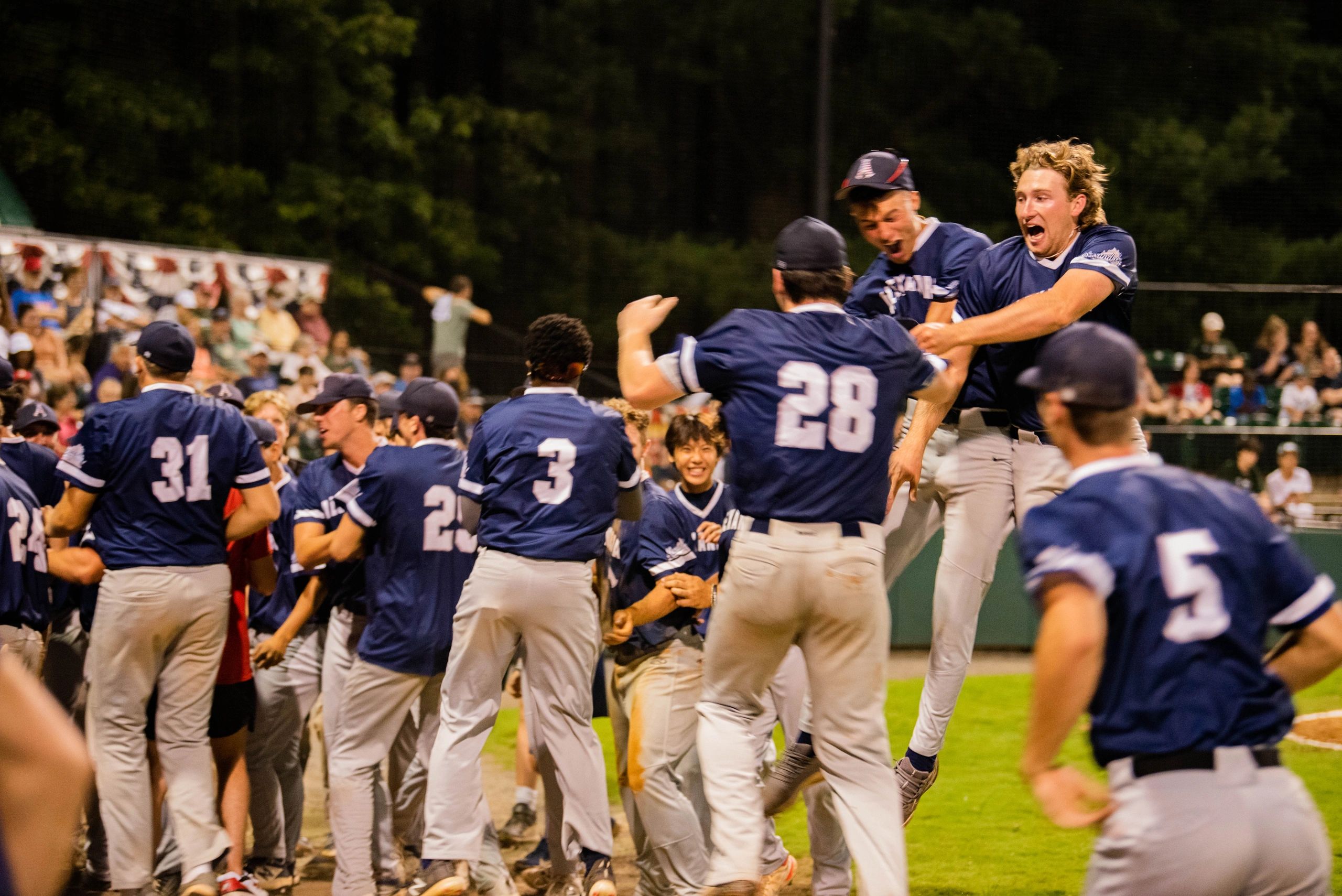 Alexandria Aces Collegiate Summer Baseball Team in Alexandria, Virginia