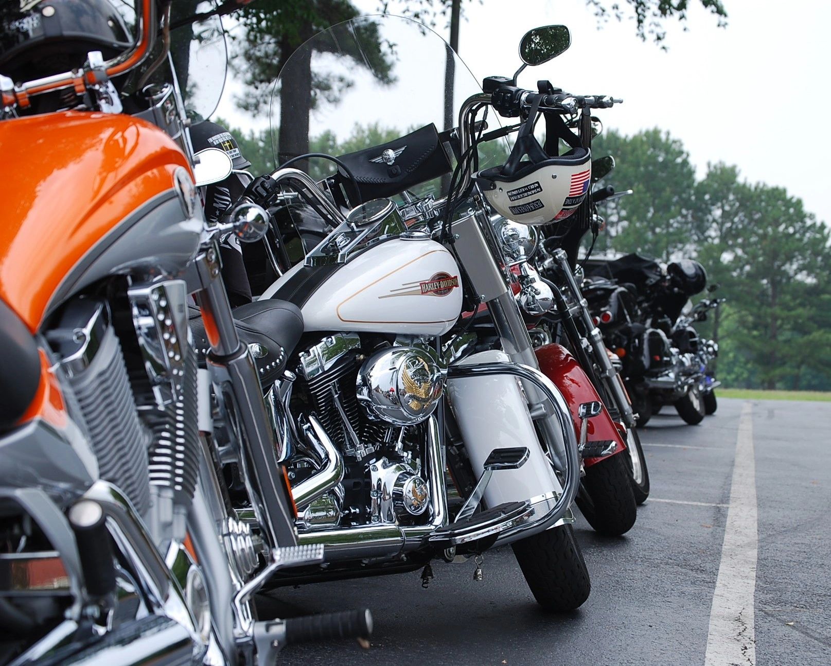 The Leonard Phillips Foundation