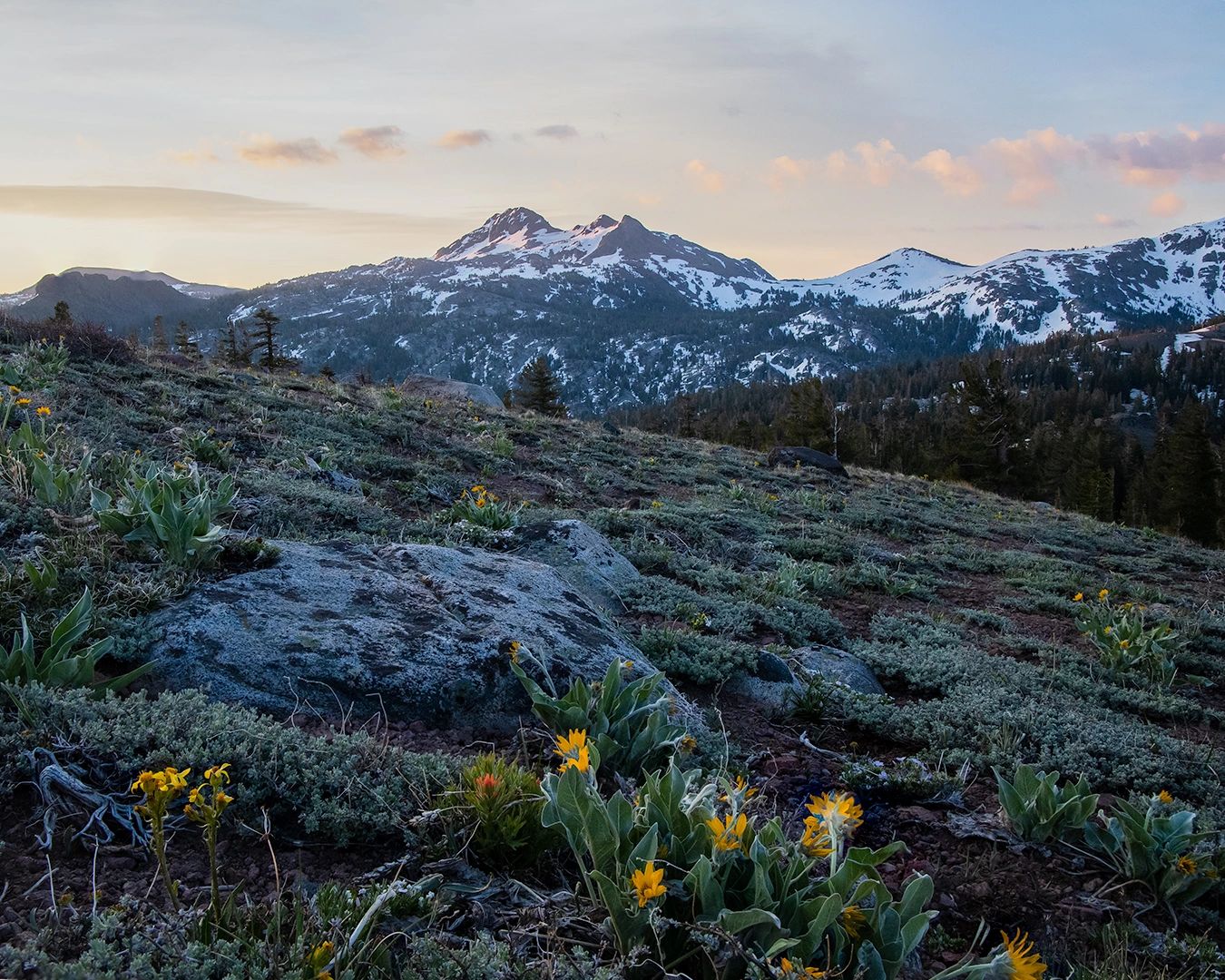 Alpine County Chamber of Commerce & Visitor's Center
