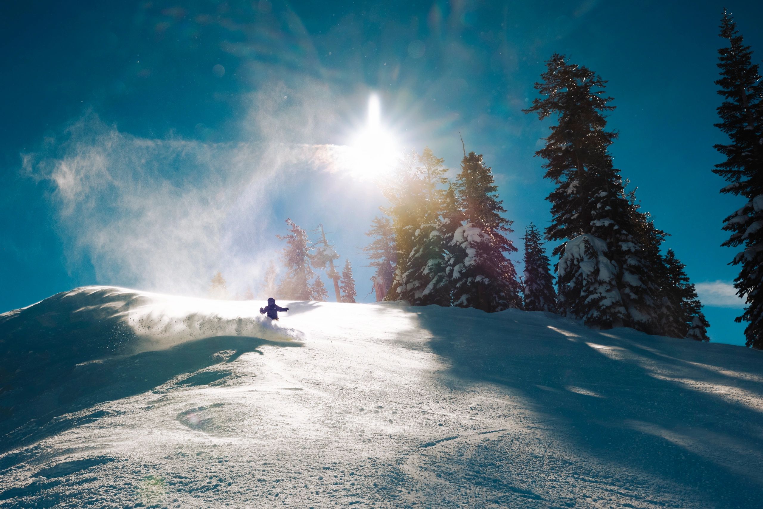 Alpine County Chamber of Commerce & Visitor's Center