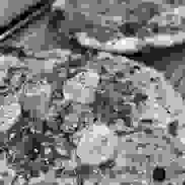 Alpine County Chamber of Commerce & Visitor's Center