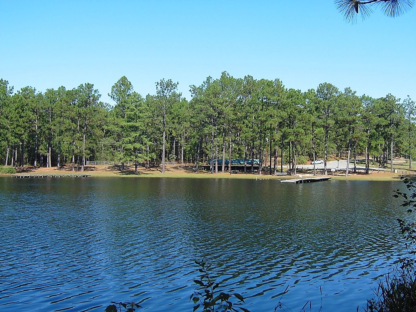 Pinebluff NC - TOWN OF PINEBLUFF NC