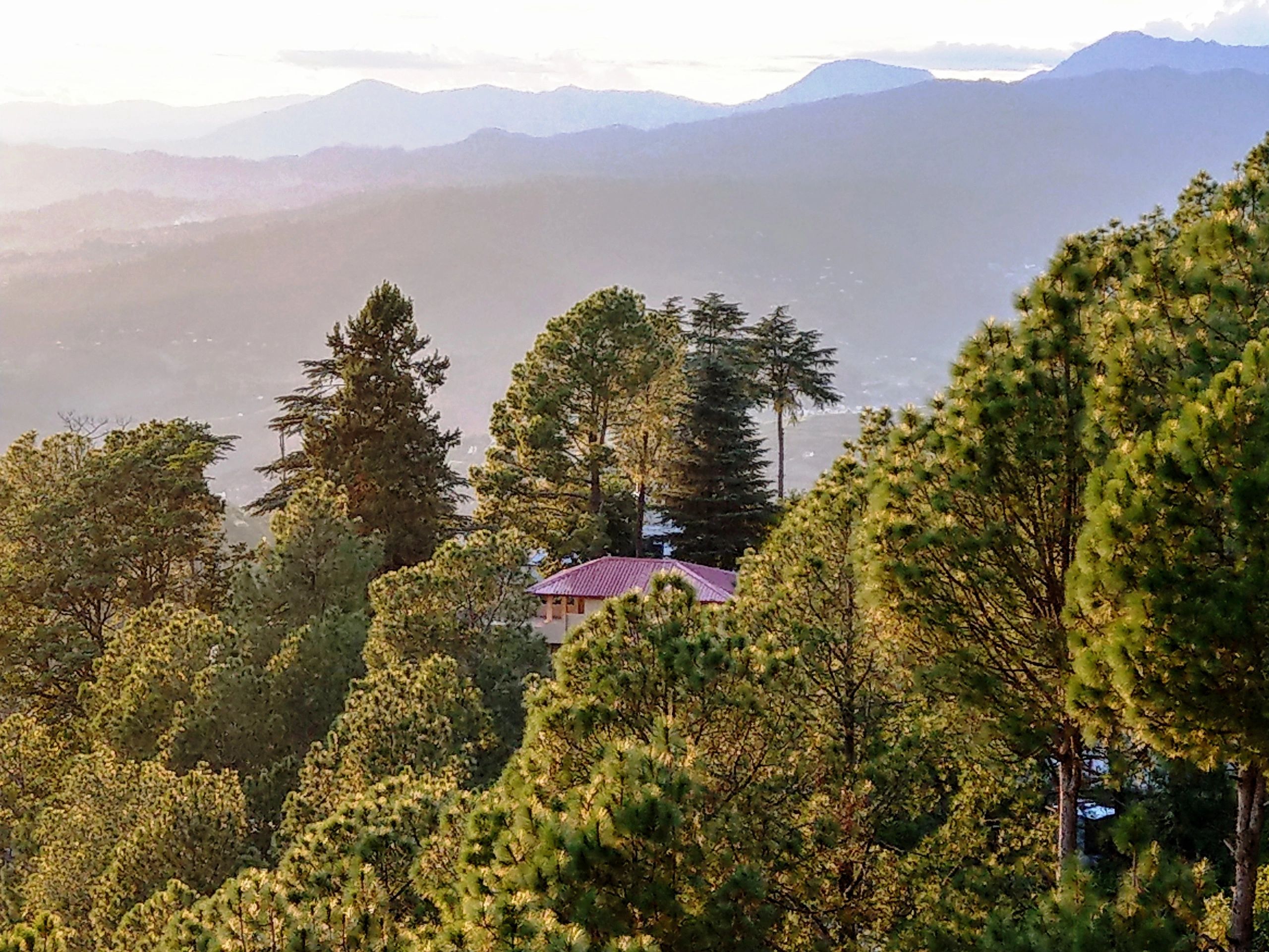 Explore the unique culture of Almora