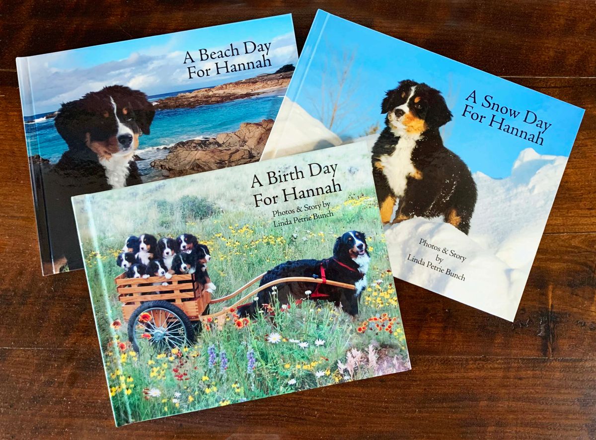 All Three Hannah Books