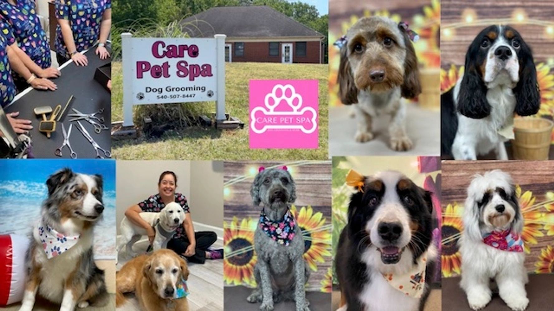 Doggie spas near me store