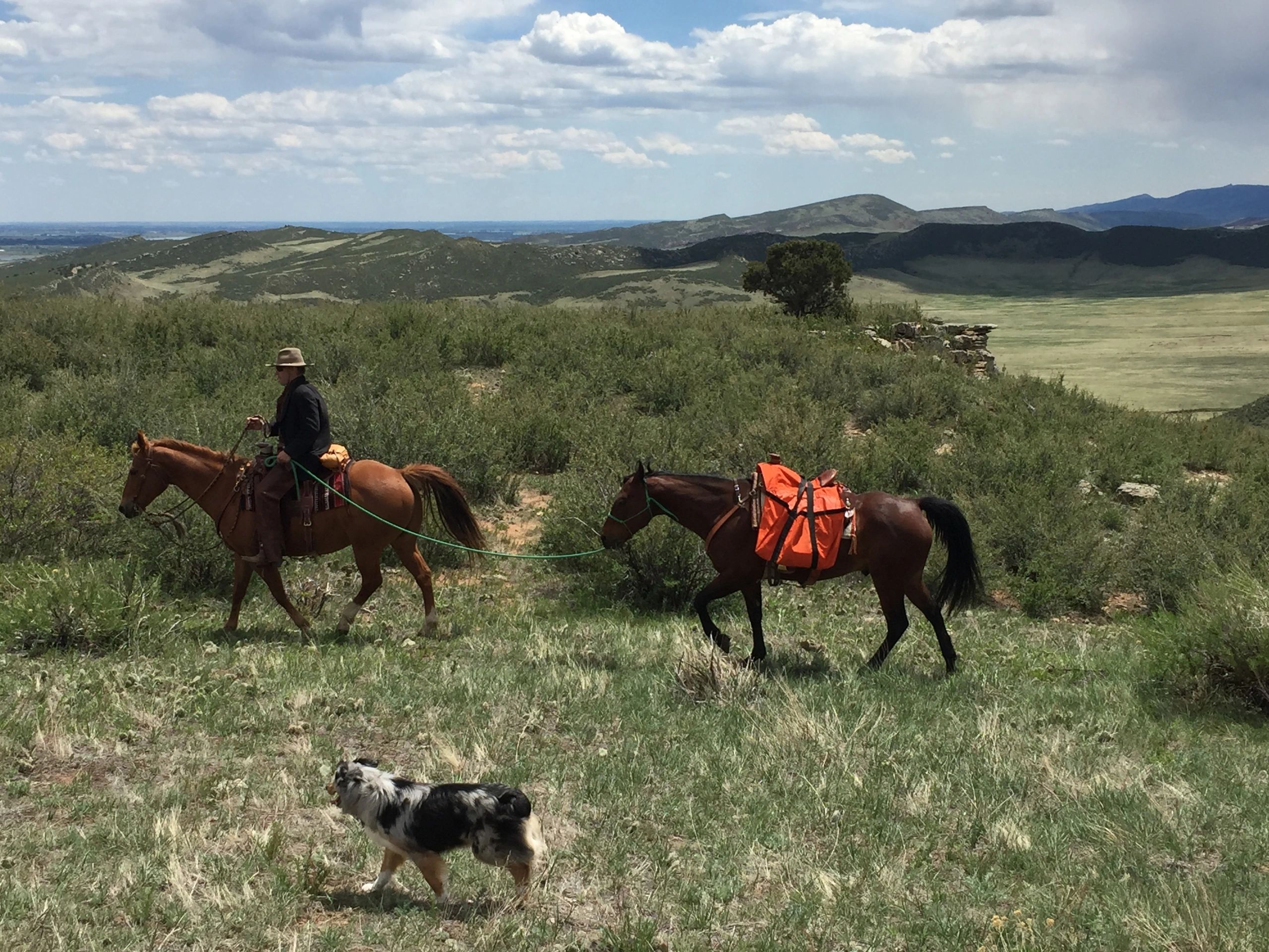 Ranch, Dogs - Vaquero Ranch Stock