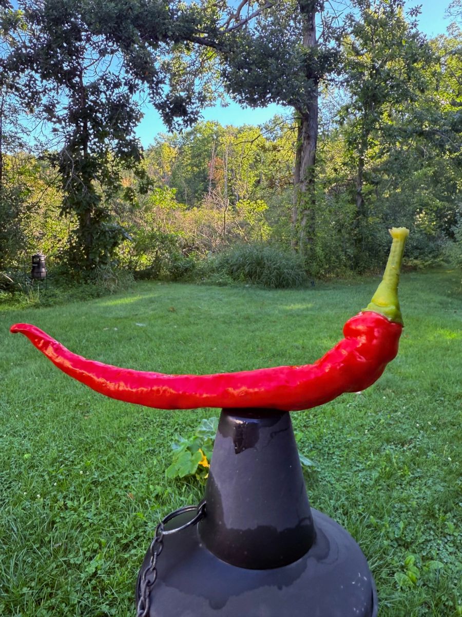 Mary Nagy's Transylvania Pepper