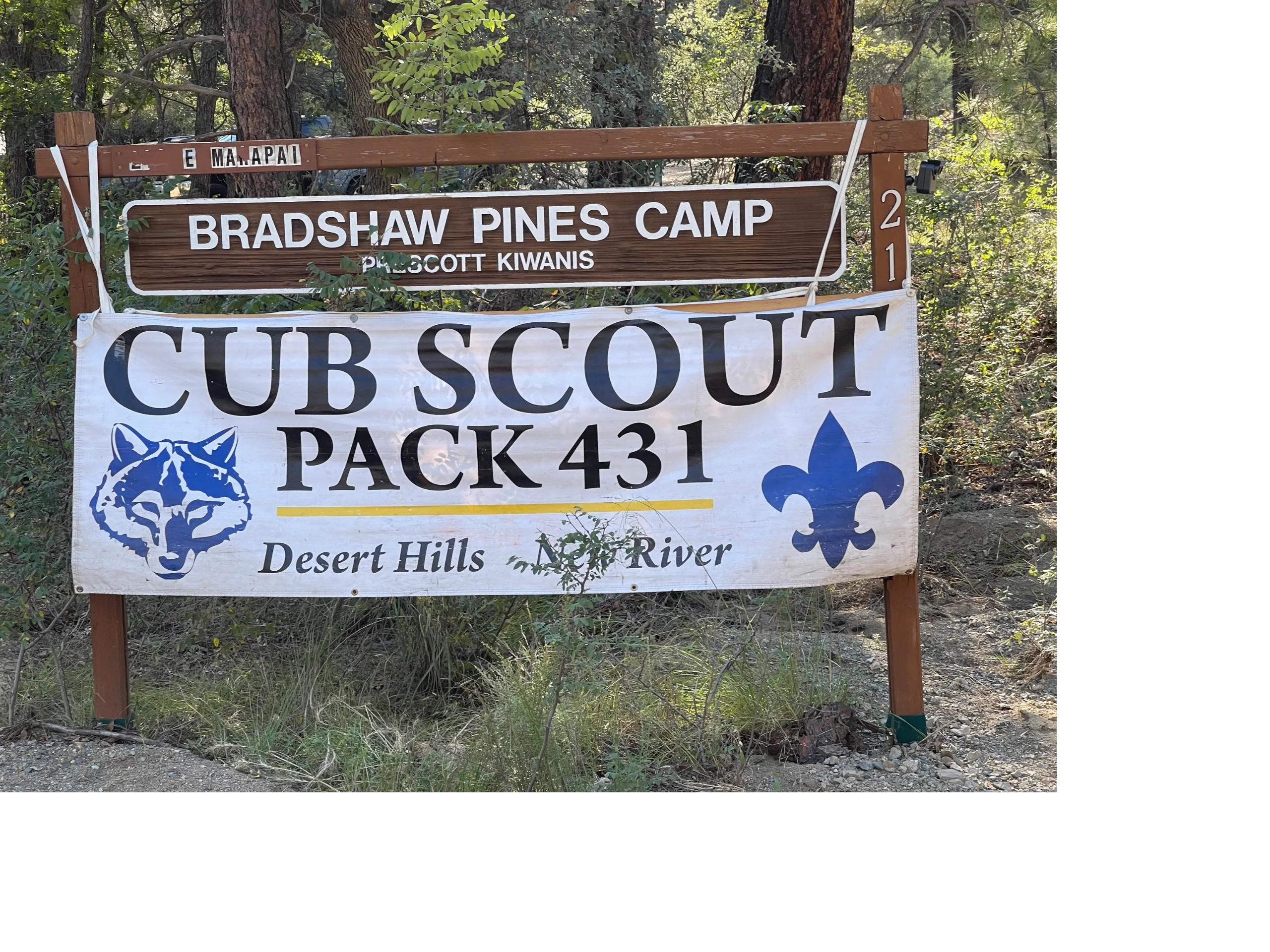Cub Scout Pack 431
