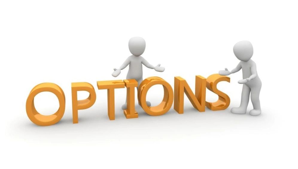 Strategic Optionality: Reversible Decisions and Adaptive Pathways