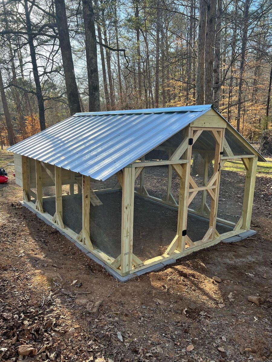 Chicken Palace Medium