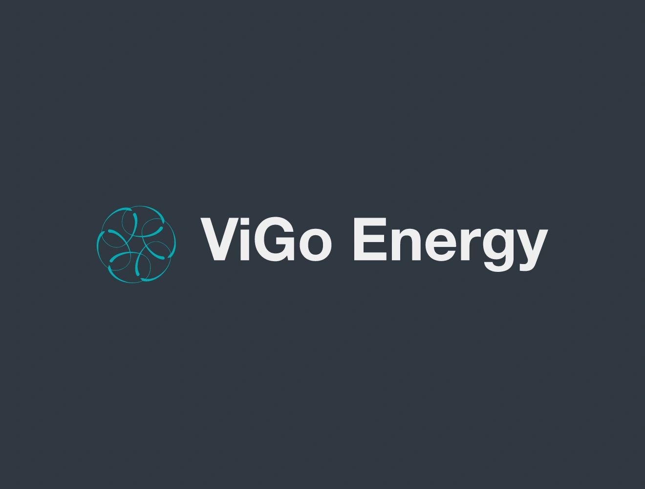 ViGo Energy Group