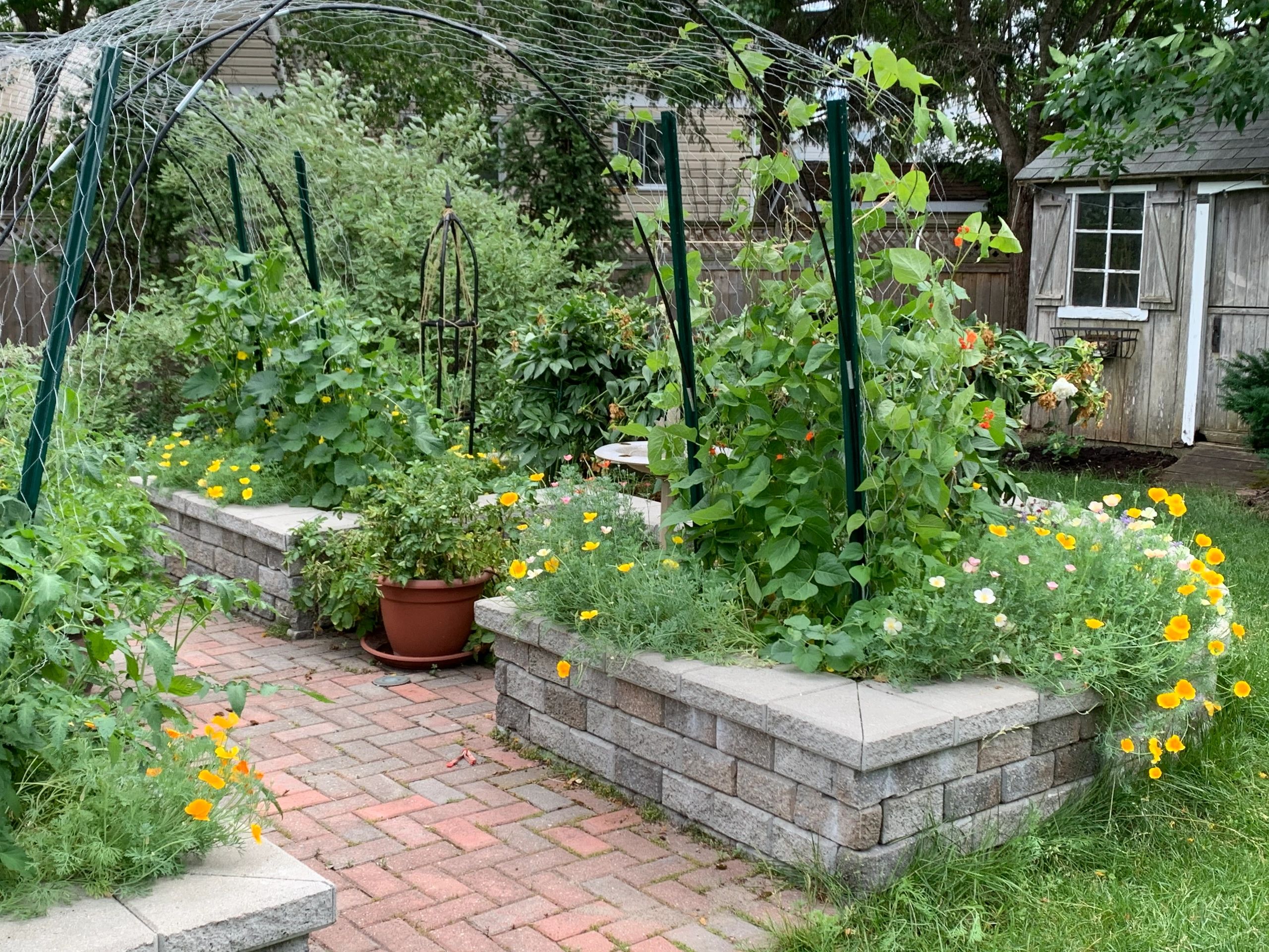 Gardening Tips for Ottawa's Climate: Join Us!