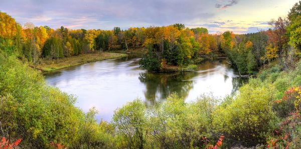 Little River Holdings