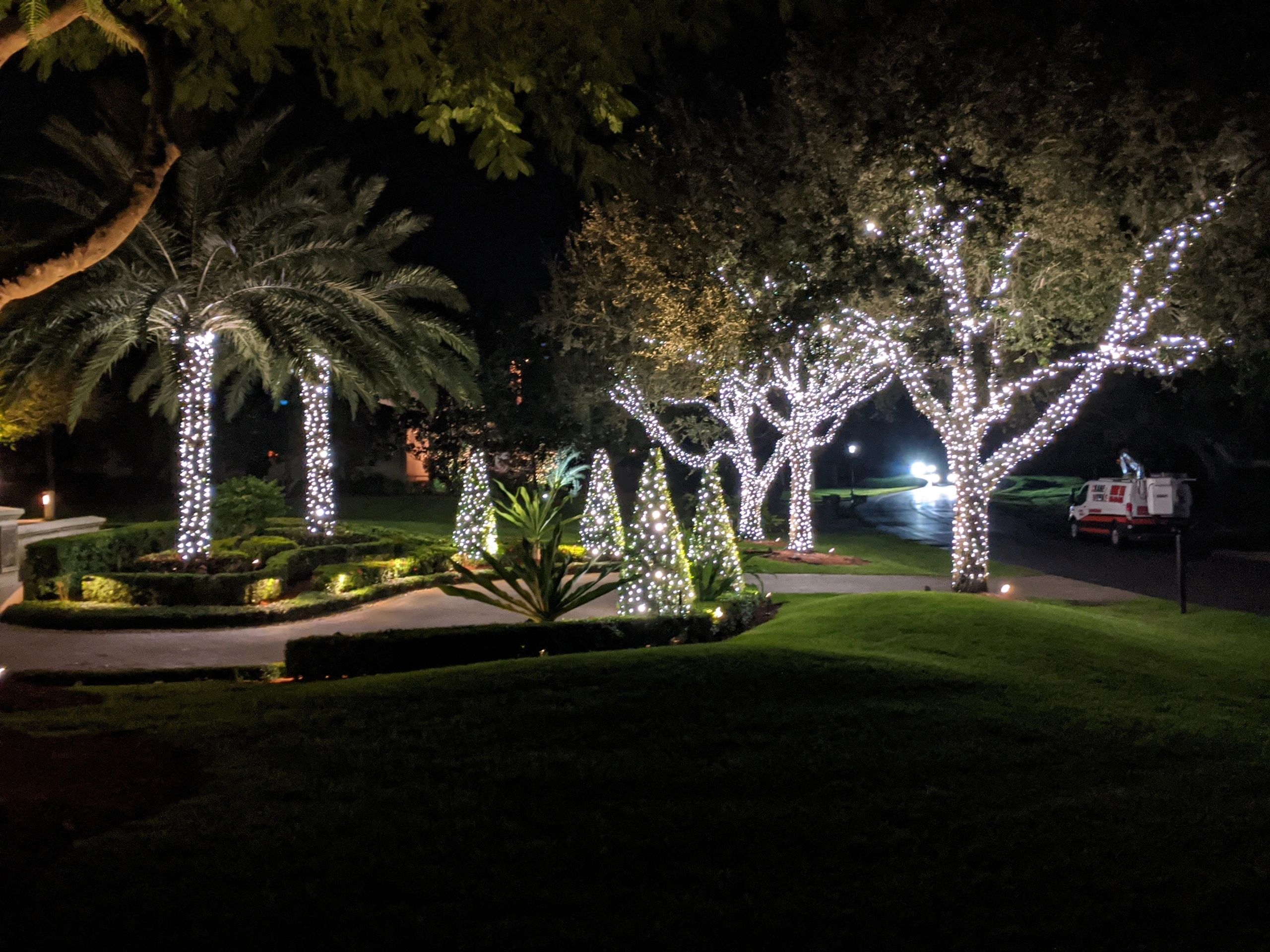 Festive Light Decorations