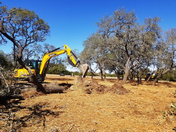 4D Land Services - Forestry Mulching, Land Clearing