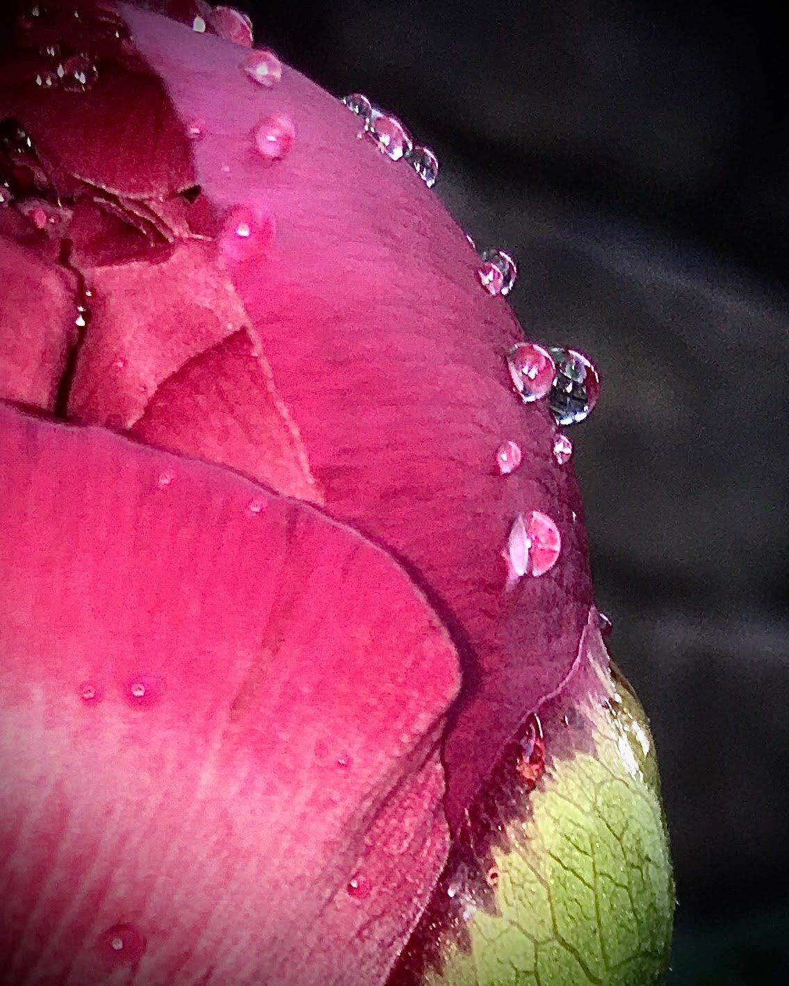 martin-designs.co.uk