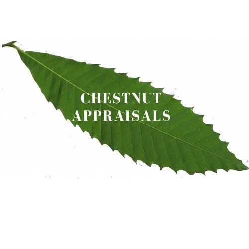 Chestnut Appraisals