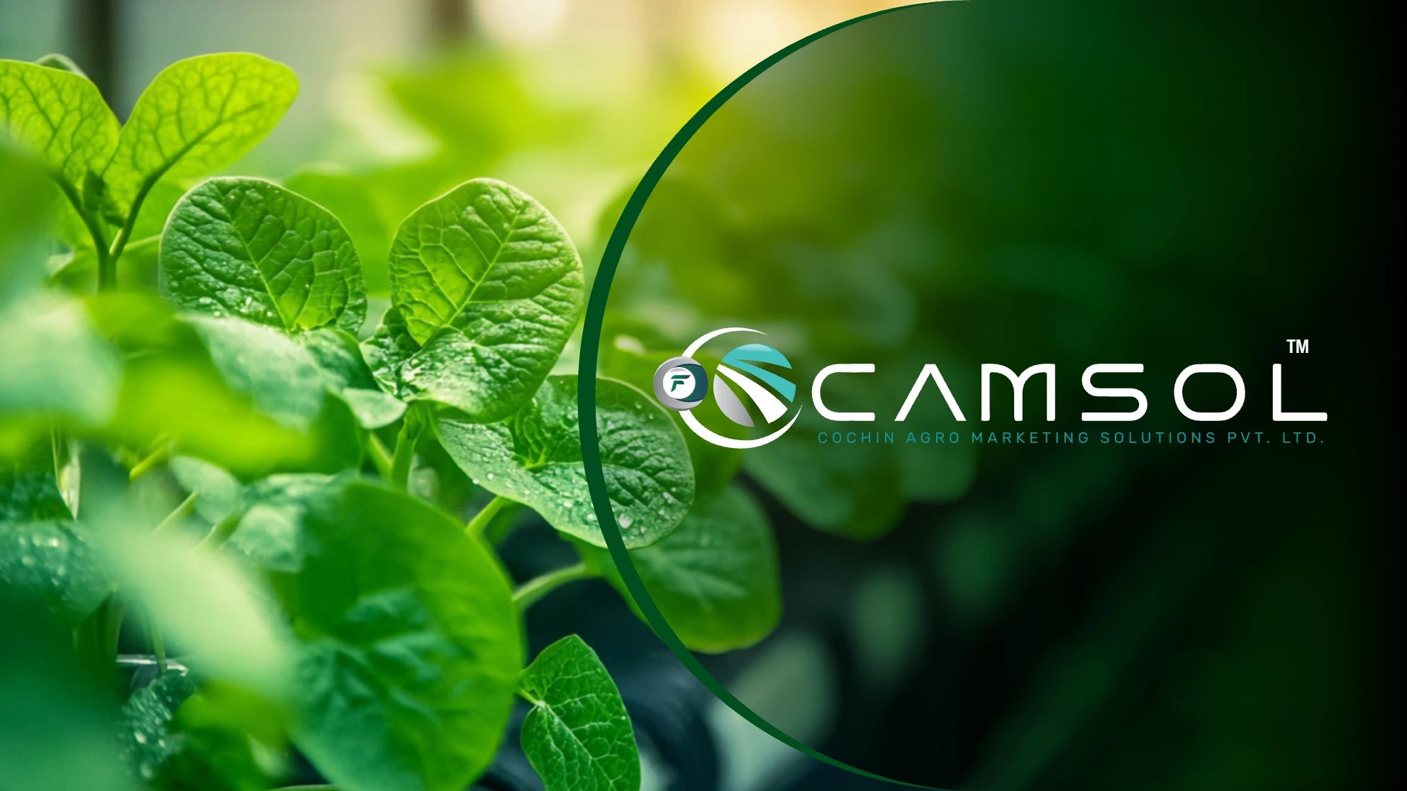 Innovative Organic Farming Solutions by CAMSOL