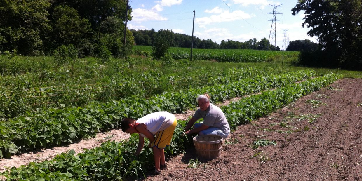 Hidden Acres Fruit Farm