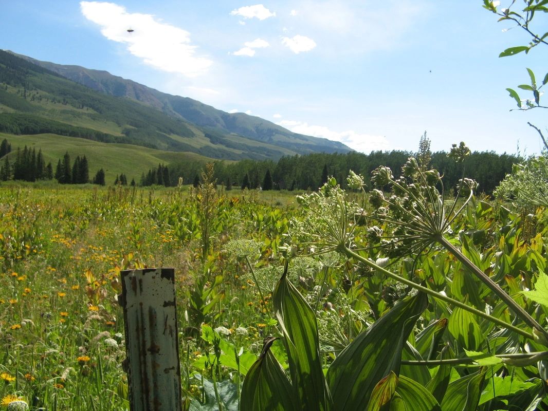 Bio-Environs in Gunnison, Colorado