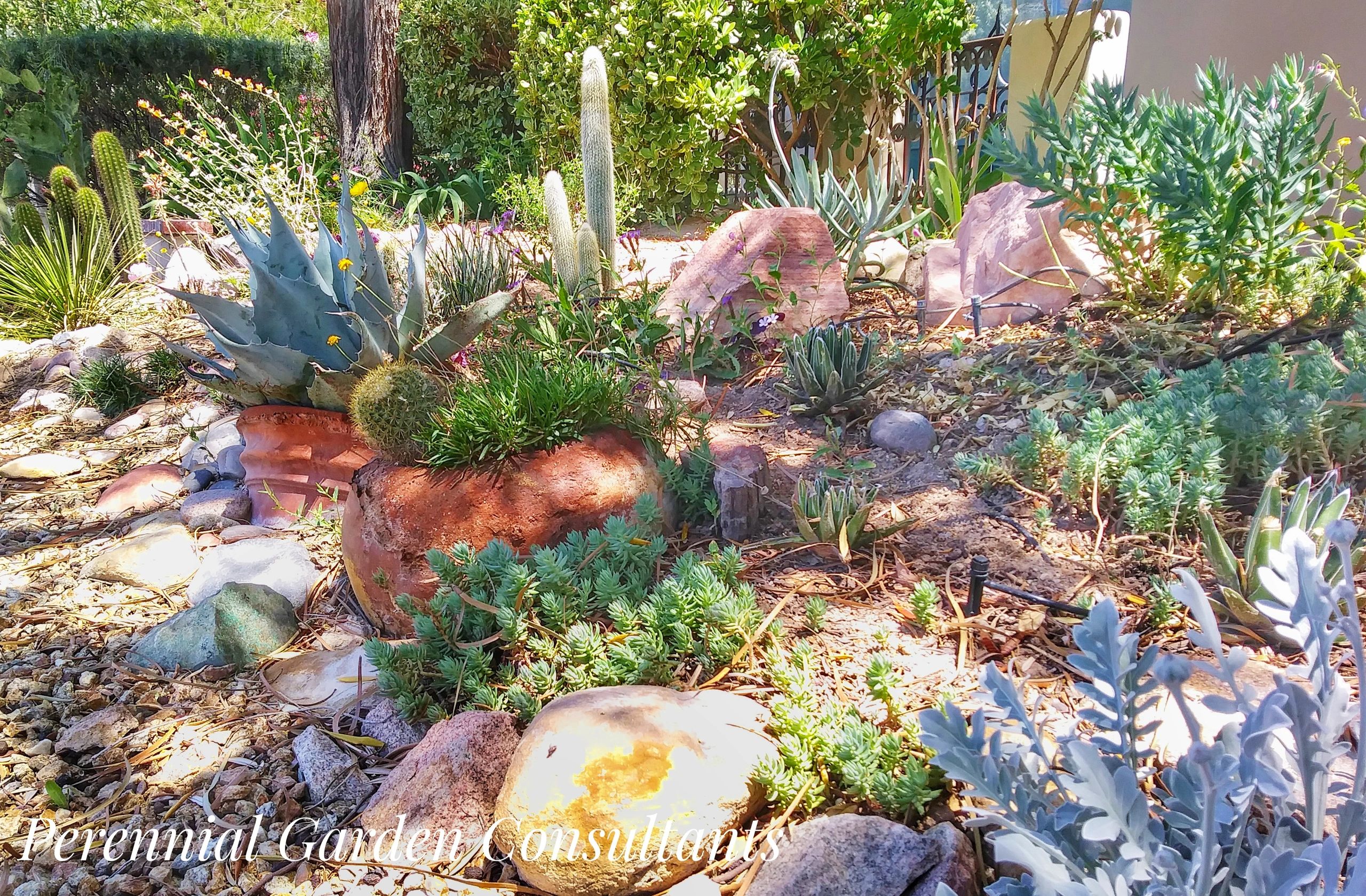 6 Simple Spring Planting Tips