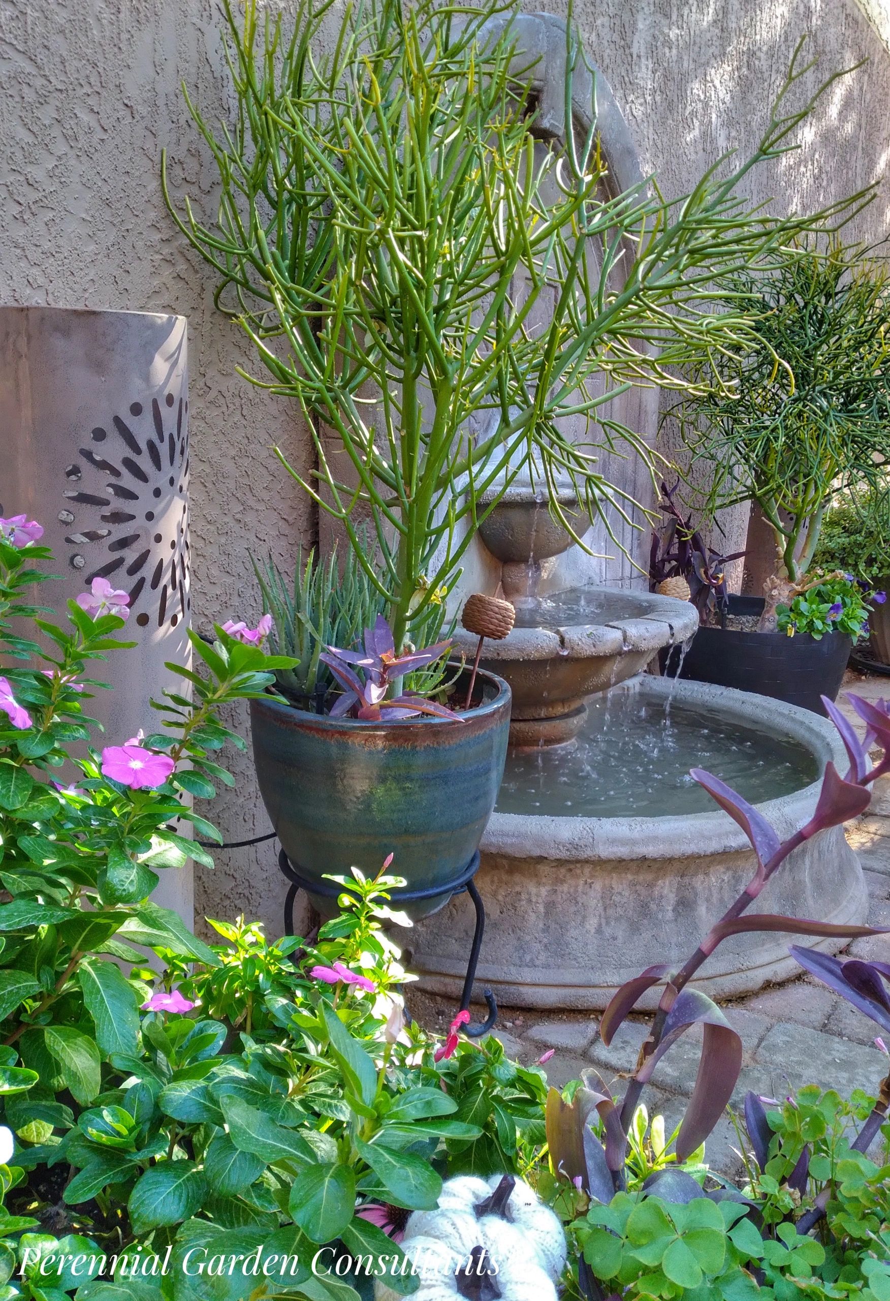 What is a Microclimate and Why are They Important