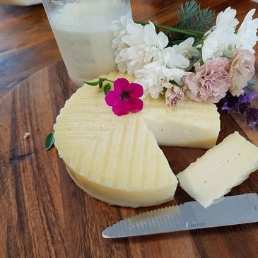 Cheese Needs - Cheese Classes, Cheese, Cheese Cultures