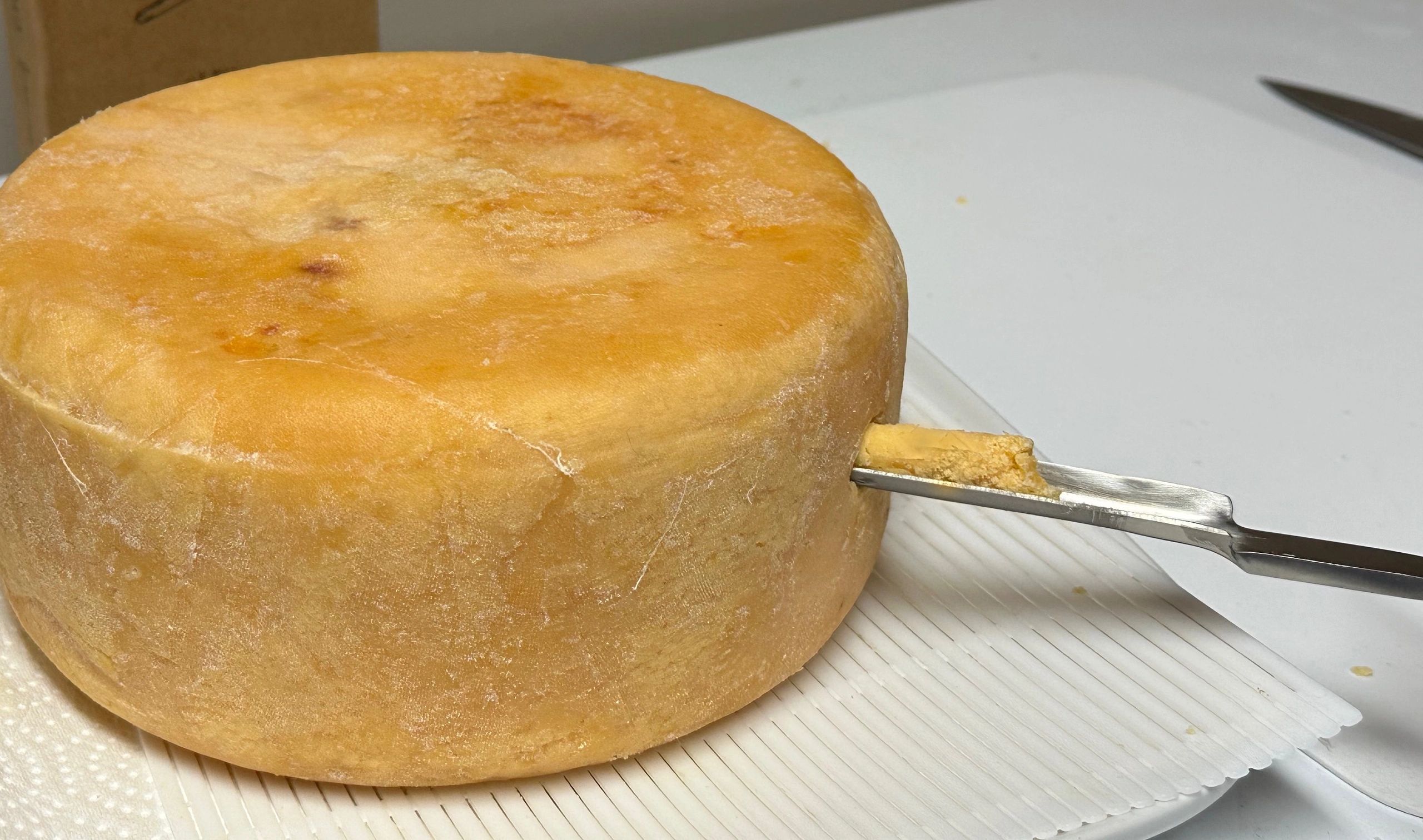 Cheese needs, home cheesemaking, artisan cheesemaking, make cheese ...