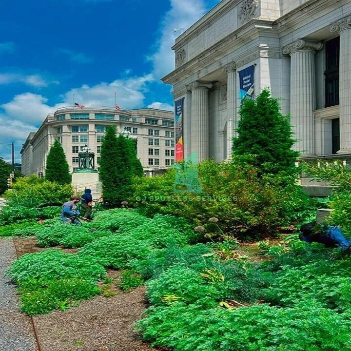 CJ Spotless professional Window Cleaning- MD, VA, DC