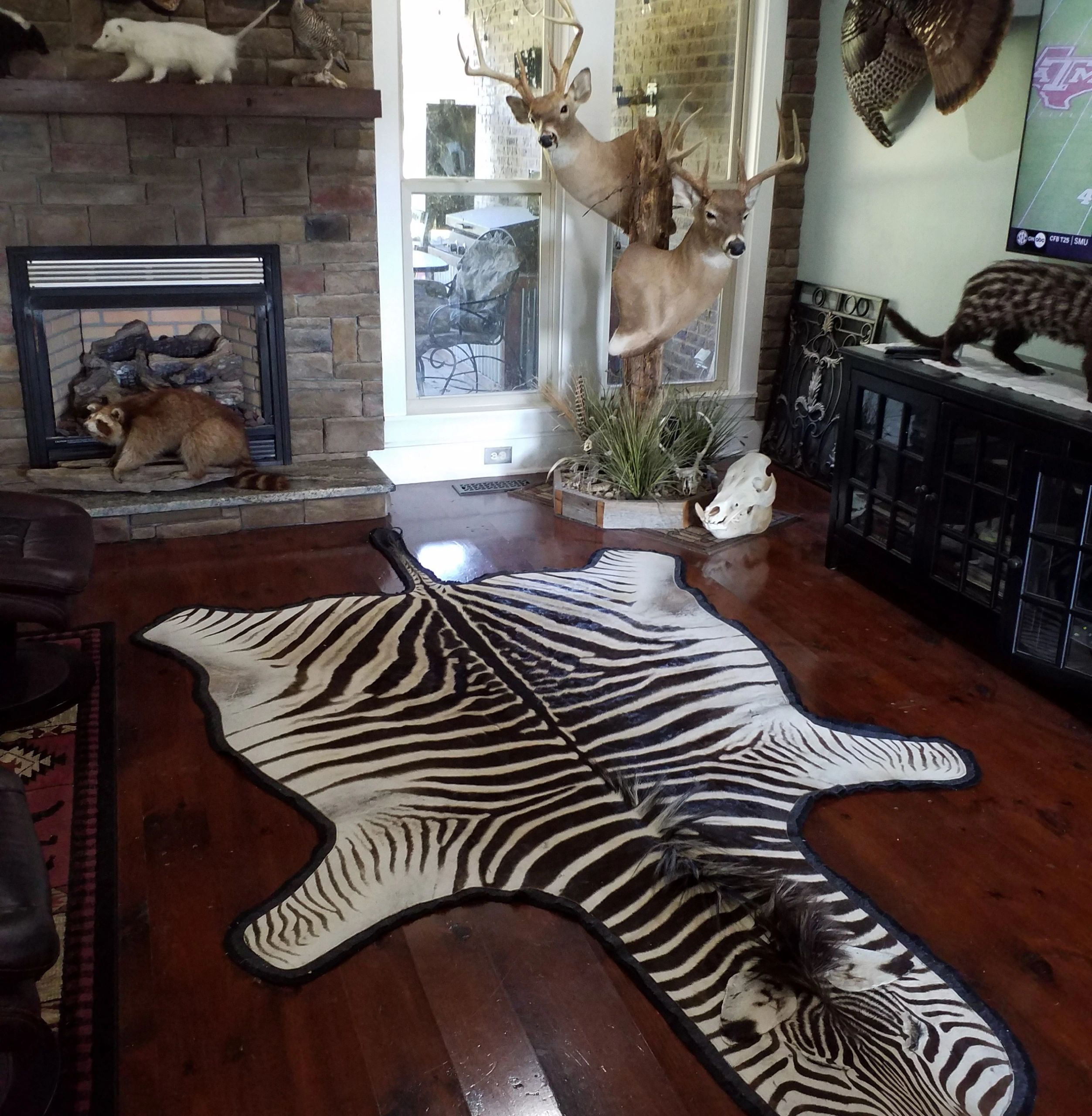 Hunter's Reward : Trophy Room Decor - Taxidermy Mount