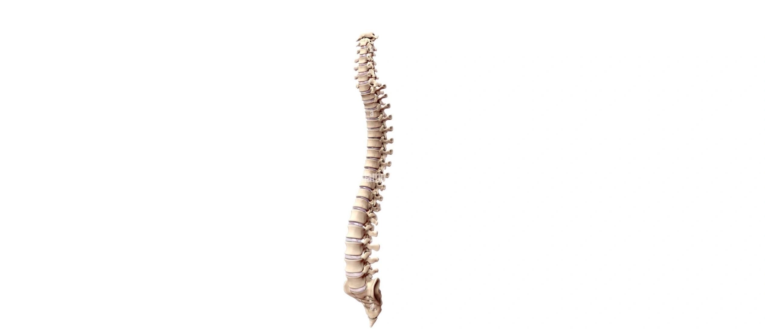 Ali Innovative Spine Solutions