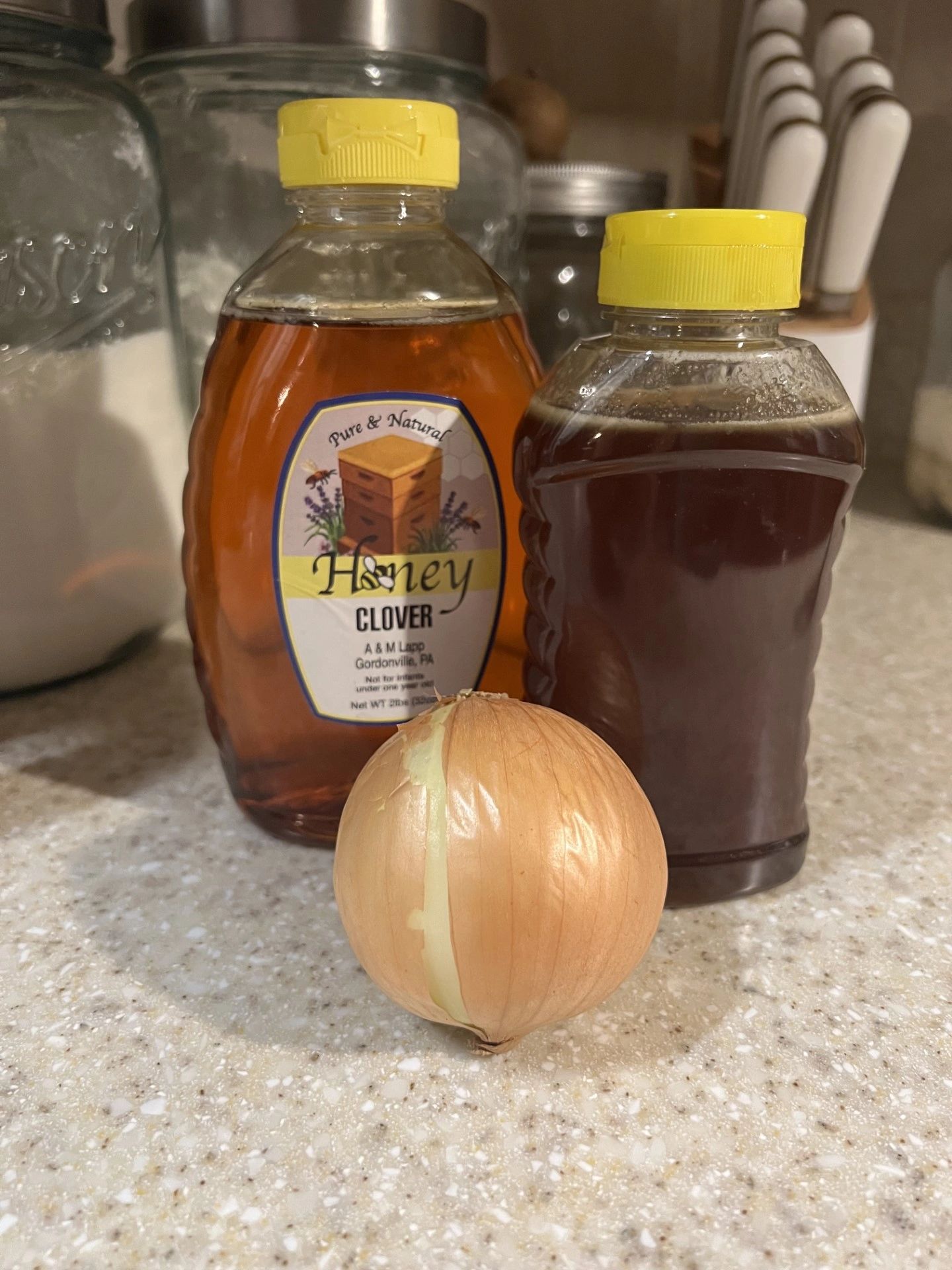 Barbara O'Neill's Honey Onion Cough Syrup