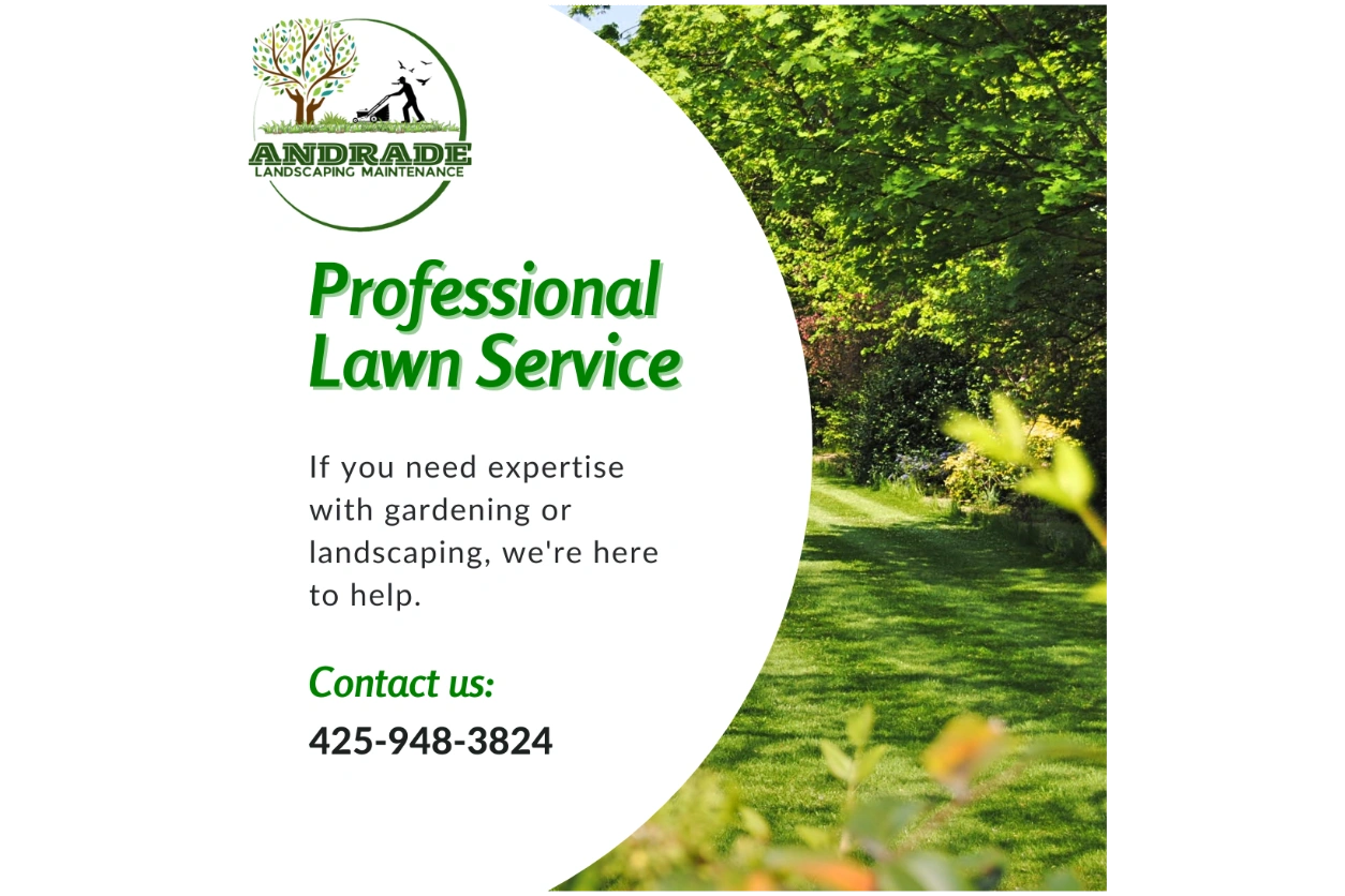 Andrade Landscaping Services