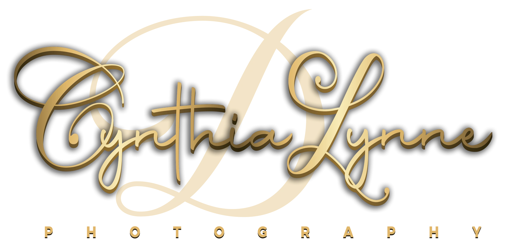 Bison | Cynthia Lynne Photography