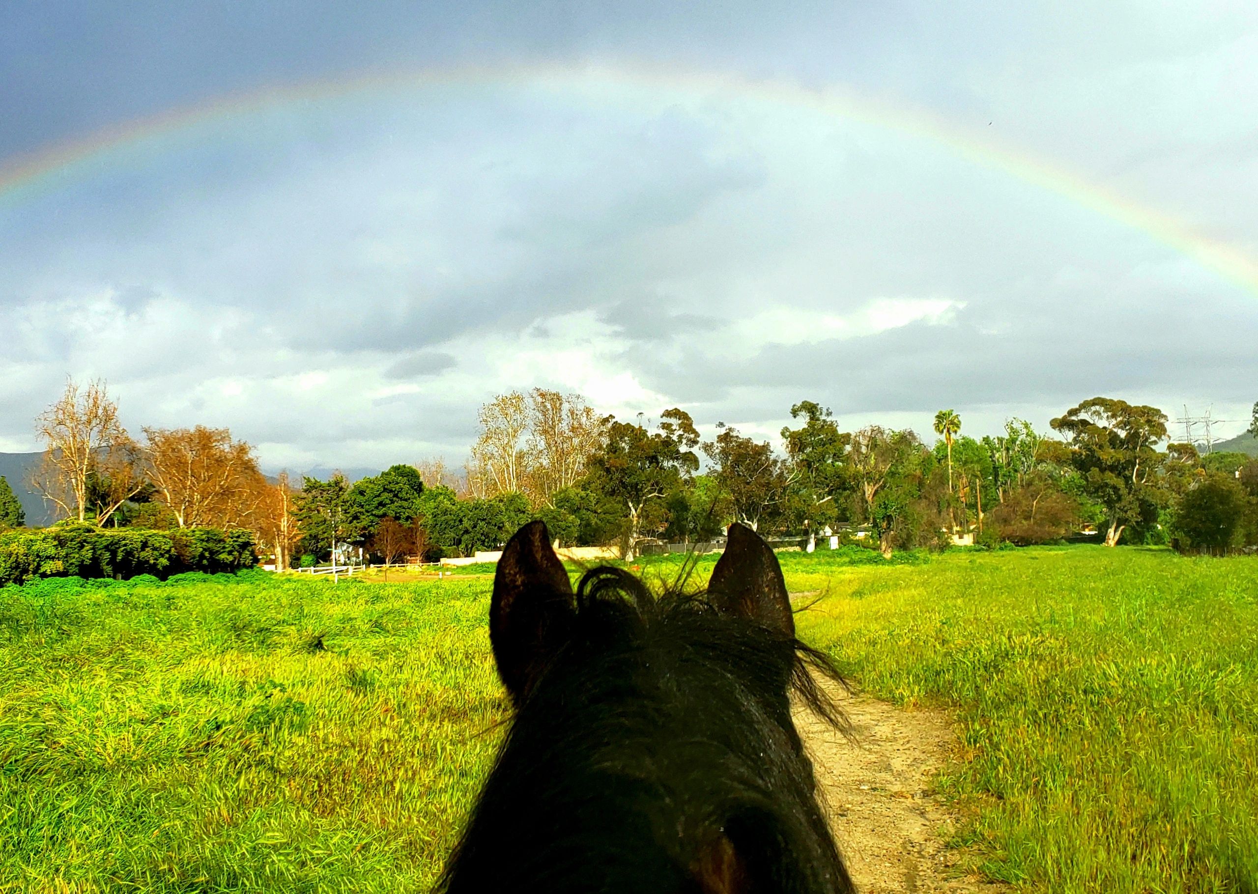Riding Lessons, Trail Rides - Good Pony, Inc