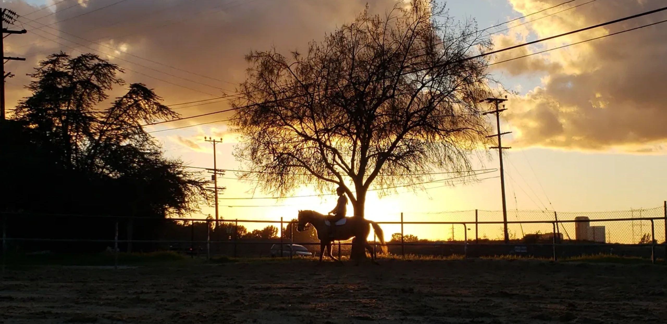 Riding Lessons, Trail Rides - Good Pony, Inc