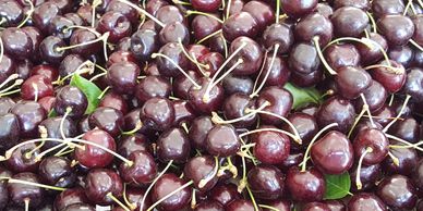 Our Fruit | Fat Robin Orchard & Farm