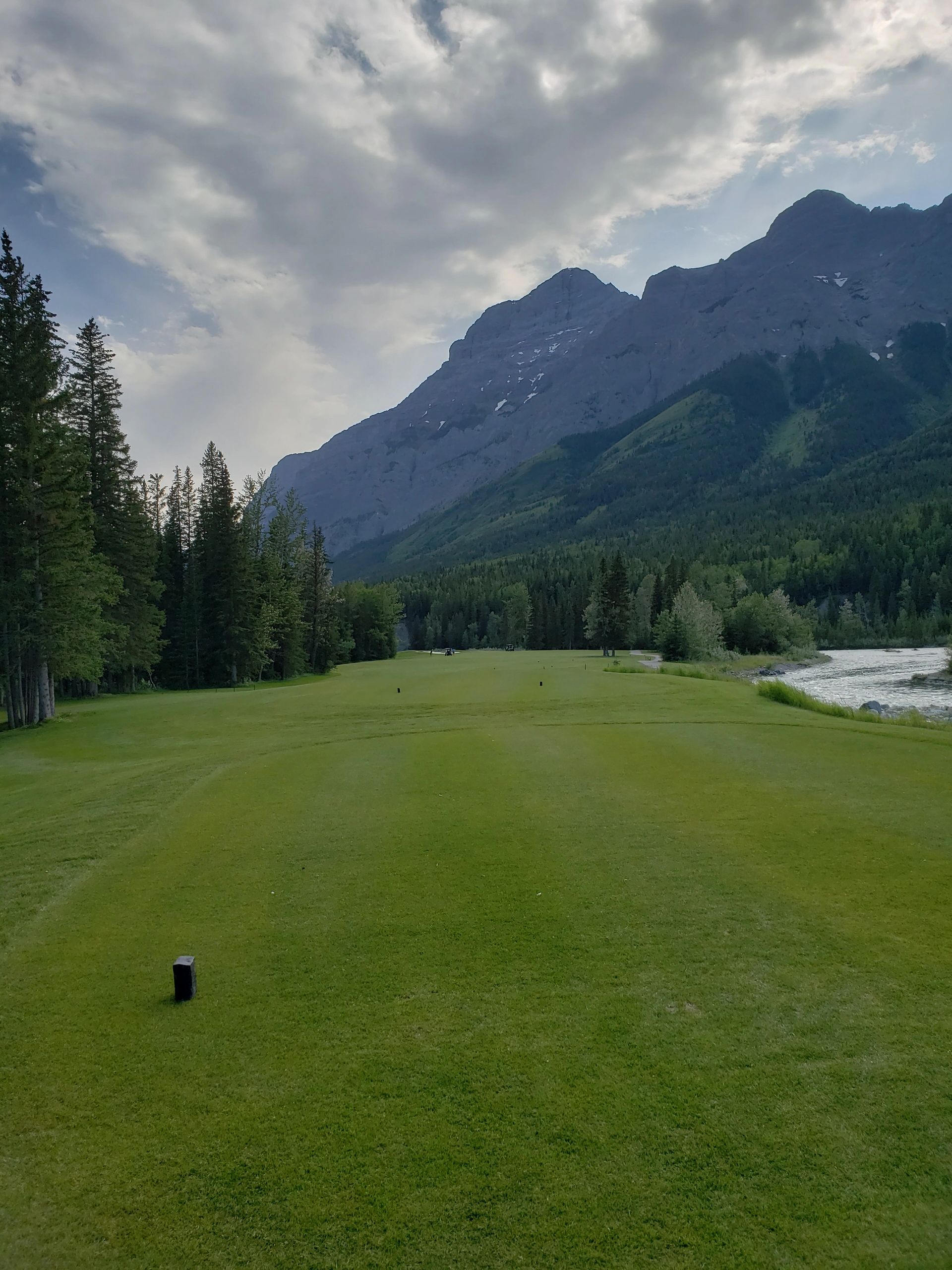 Getgrippedgolf