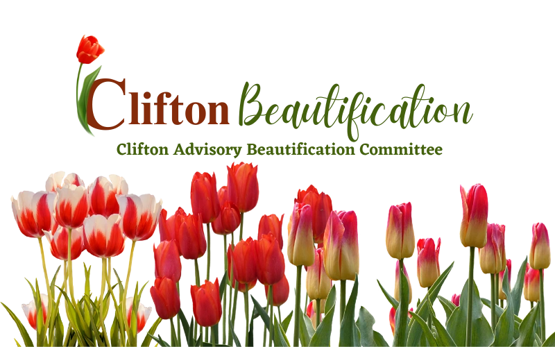 Clifton Beautification Committee