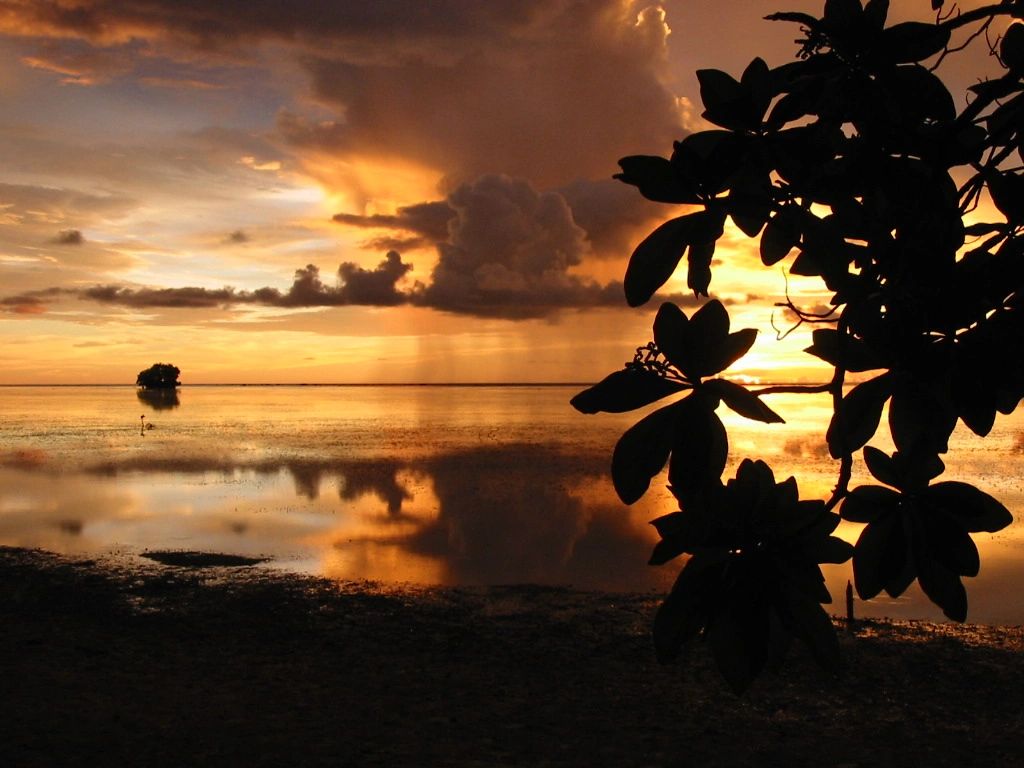 Storyboard Beach Resort - Home