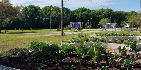 CIRCLE POND TINY COMMUNITY