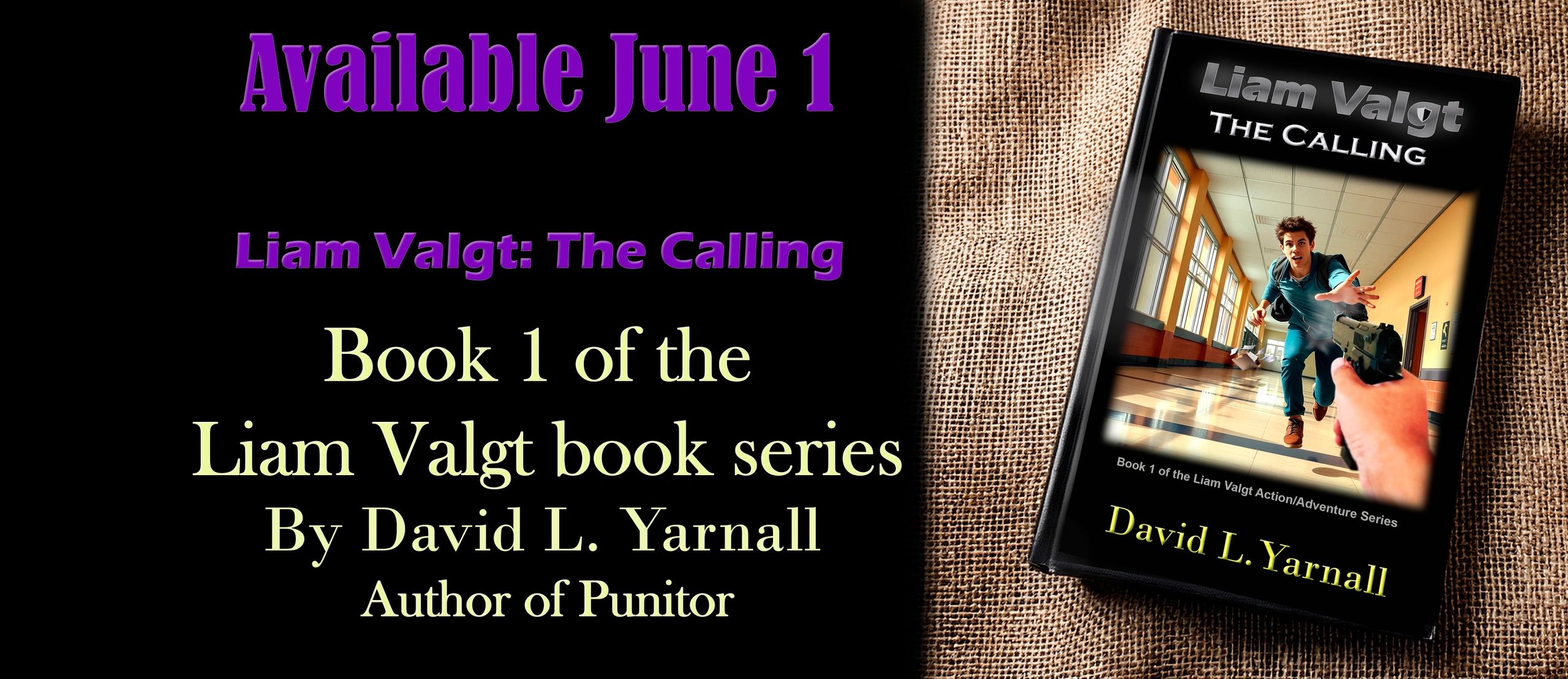 Liam Valgt Christian teen book series
