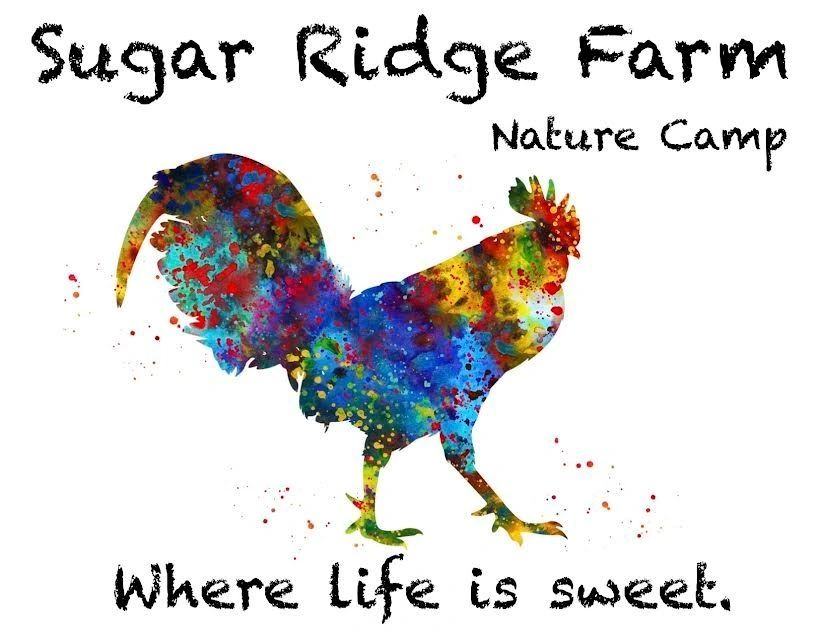 Sugar Ridge Farm Nature Camp