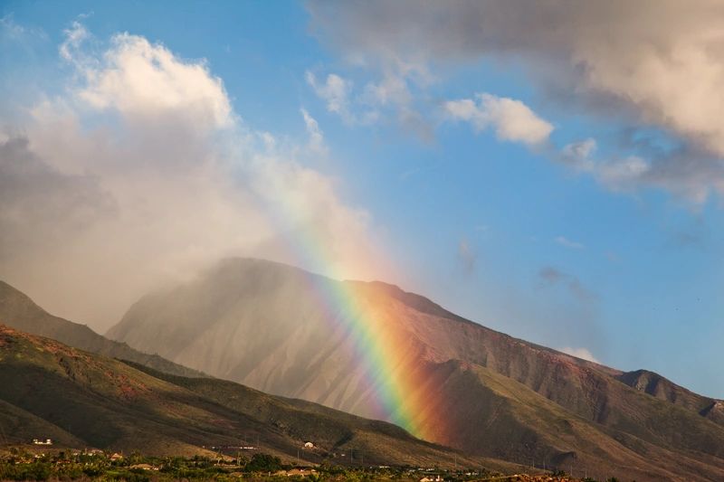 Ola Loa Lifecare Concierge Inc - Direct Primary Care